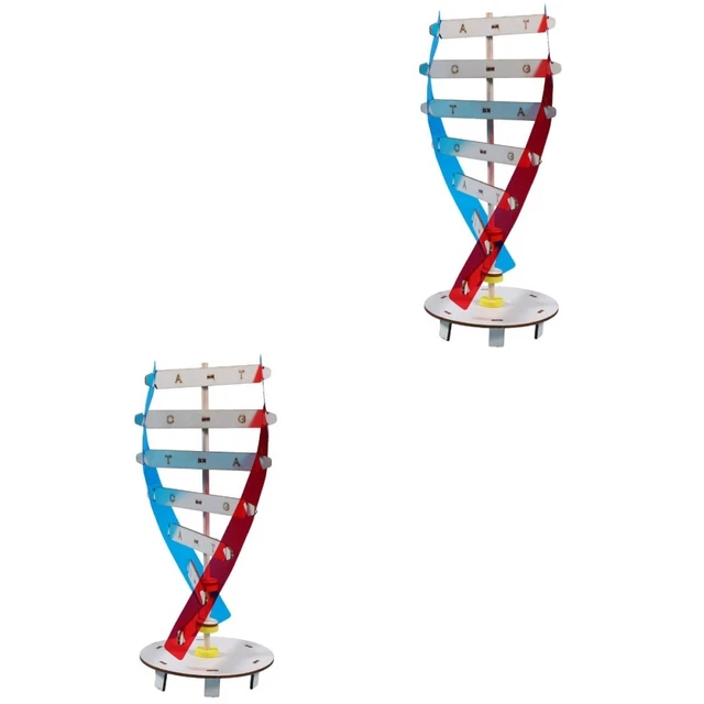 2 SETS DOUBLE Helix Model Biology Dna Children's Physical Science ...