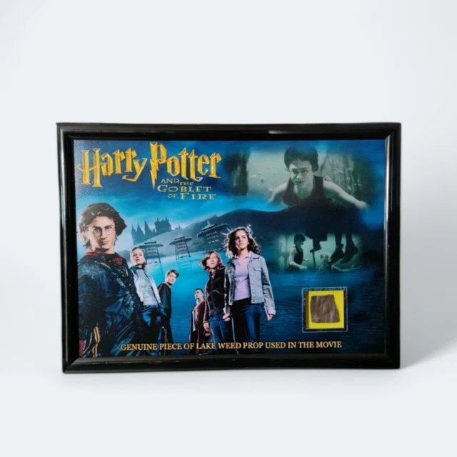 HARRY POTTER LAKE Weed Screen-Used Movie Prop Goblet of Fire - Hogwarts ...