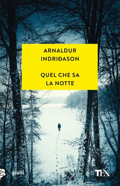 ARNALDUR INDRIÐASON QUEL che sa la notte (Gialli TEA) (Taschenbuch) EUR ...