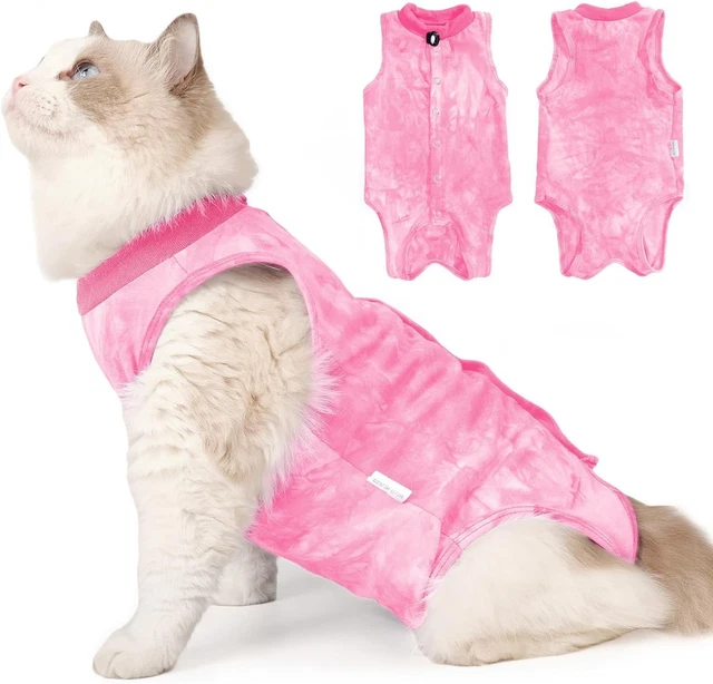 BODY POST OPÉRATOIRE pour Chat Femelle/Mâle - Combinaison Anti Léchage ...