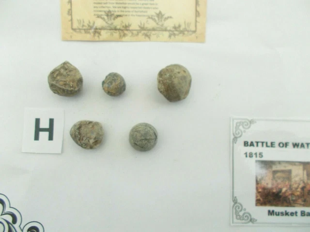 5 BATTLE WATERLOO 1815 Prussian Relics Napoleonic Wars Genuine (H) $56. ...