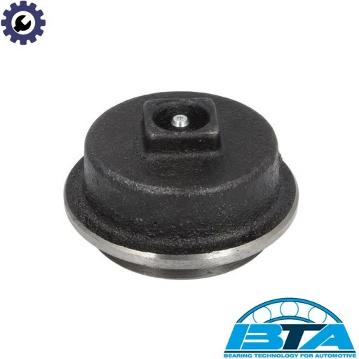CAP WHEEL BEARING B06-2165 For Massey Ferguson 191495M1 882637M1 £29.52 ...