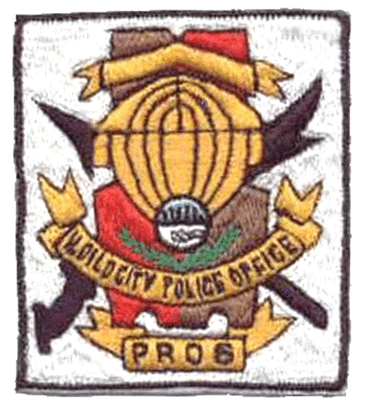 PATCH POSTE DE police de la police nationale des Philippines PNP Pasig ...