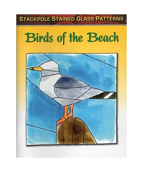 BIRDS OF THE Beach, Sandy Allison EUR 35,00 - PicClick FR