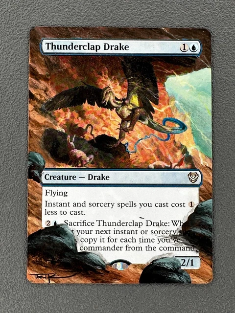 TENTE ART MODIFIÉE peinte à la main Thunderclap Drake MTG Outlaws of ...