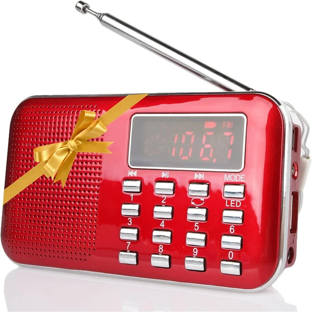 RADIO PORTABLE RECHARGEABLE FM/AM USB Micro-Sd Et Lecteur Mp3 Intégré ...