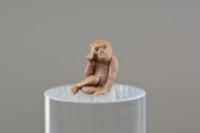 ANTIQUE TINY MINIATURE bisque Hertwig German monkey ET £24.99 - PicClick UK