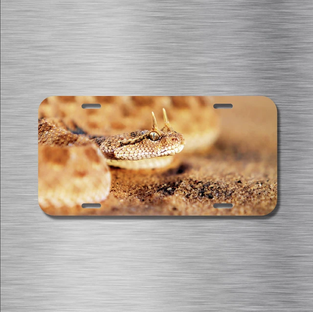 SAND SNAKE DESERT Viper Rattle Venomous Vehicle License Plate Front ...