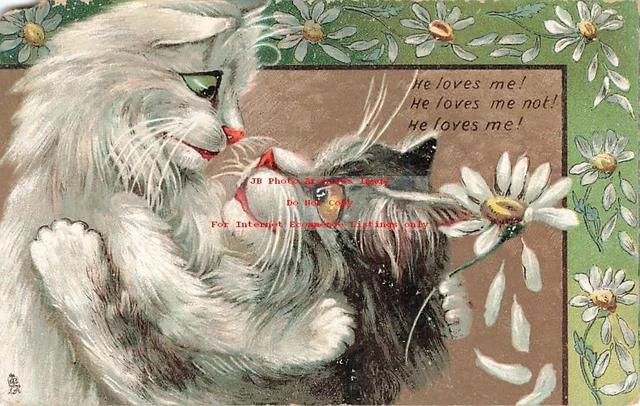 MAURICE BOULANGER, TUCK n. 122, Gatti che abbracciano, He Love Me! Lui ...