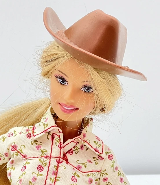 BARBIE COUNTRY KICKS 2006 Posable! Country Line Dancing at the Fair ...