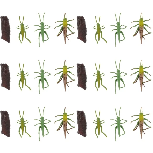 INSECT LIFE CYCLE Model Locust Life Cycle Miniature Locust Locust ...