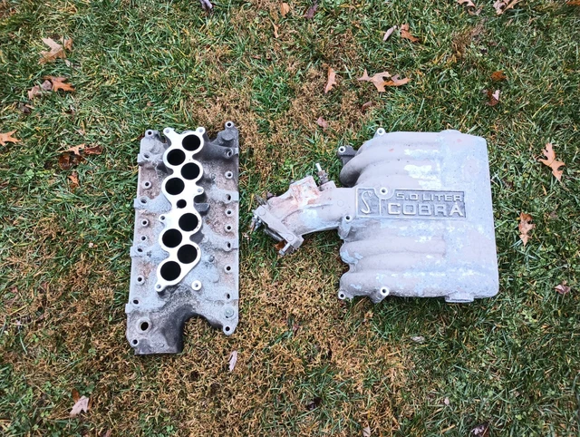1994-1995 FORD MUSTANG 5.0L Cobra Intake Manifold GT40 302 SVT EFI EUR ...