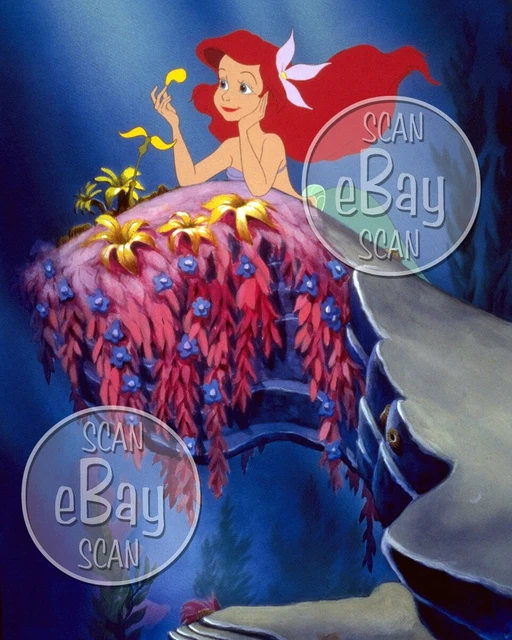 RARE! WALT DISNEY'S LITTLE MERMAID Cartoon 8 X 10 Color Photo ARIEL EUR ...