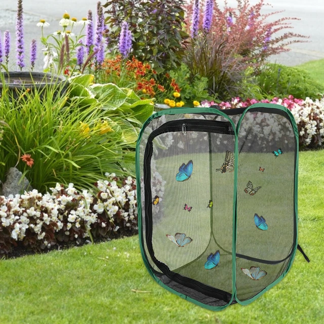 STICK INSECT CAGE Praying Mantis Butterfly Chameleon Pop-up Housing ...