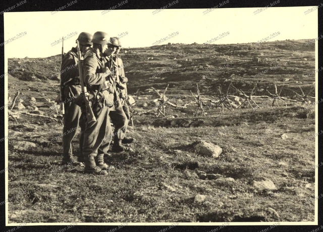 GEBIRGS-JÄGER-PIONIER BTL.82-KORPS-LAPPLAND-MURMANSK-TITOWKA-FRONT-LIZA ...