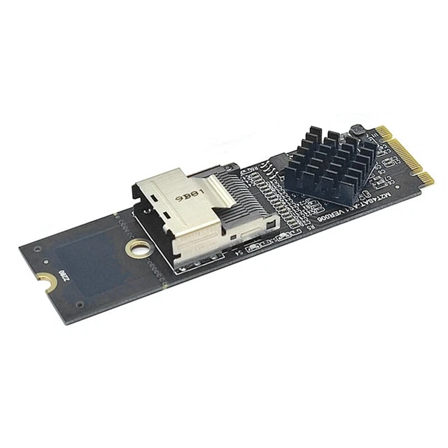 SCHEDA DI ESPANSIONE M.2 NVME a SFF-8087 SATA3.0 - SAS/SATA adattatore ...