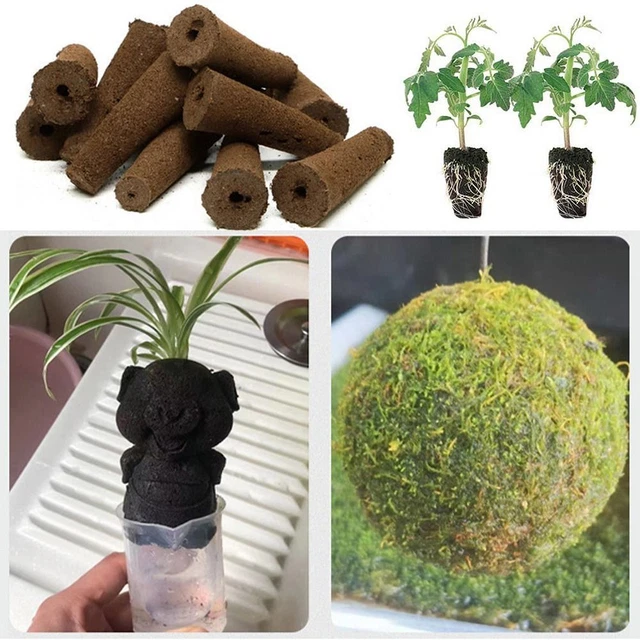 PLANTING PEAT SOIL Pellets Soil Blocks Seedling Seedling Germination ...