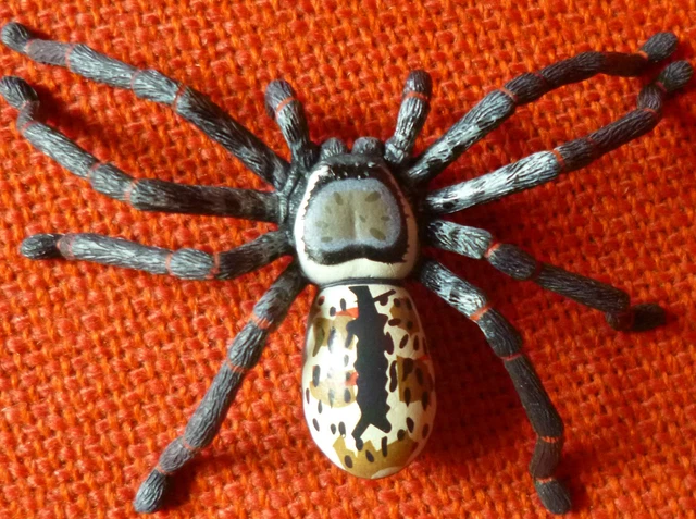 AUSTRALIAN HUNTSMAN SPIDER FUNDRAISER GIFT Replica approx 60mm Long EUR ...