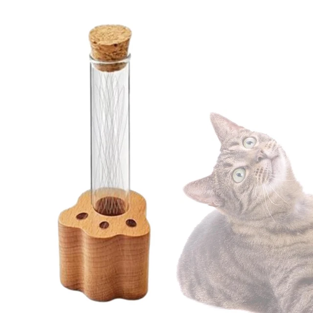 CAT WHISKER JAR Pet Hair Keepsake Bottle Pet Keepsake Box Paw Shaped ...