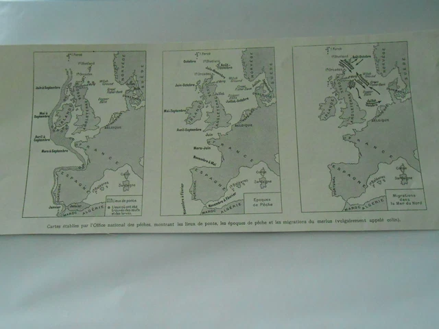20TH HAKE MIGRATION Bridge Site Map Fishing Print £4.92 - PicClick UK