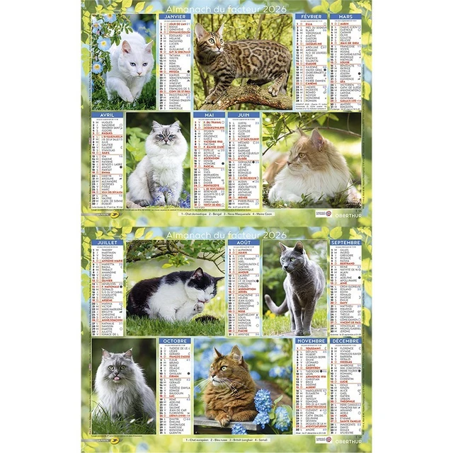 ALMANACH LA POSTE Calendrier Facteur 2026 (Chats) EUR 9,90 - PicClick FR