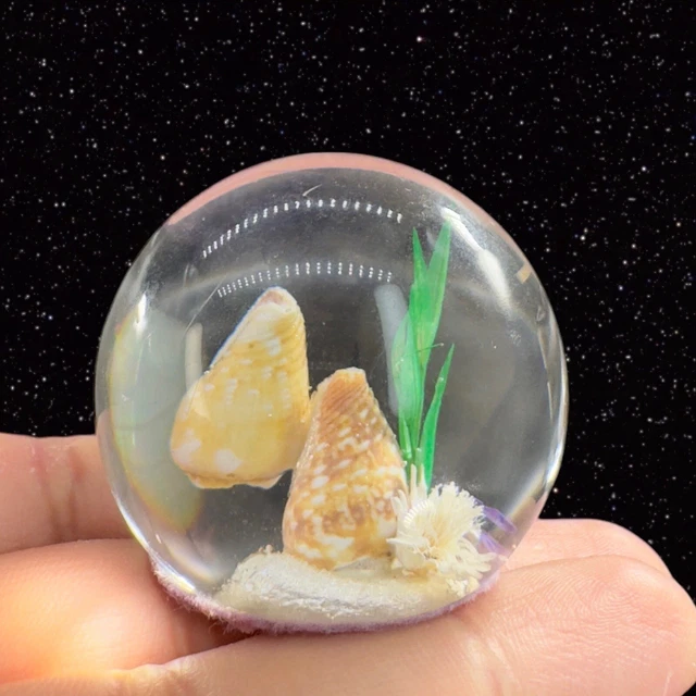 1980S LUCITE SMALL Round Paperweight Figurine Sea Shells Vintage ...
