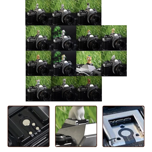 FUN AND FUNCTIONAL SLR Camera Hot Shoe Cover for Small Animal ...