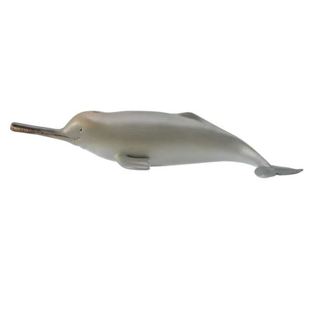 COLLECTA REALISTIC ANIMAL Replica Ganges River Dolphin Figure Medium ...