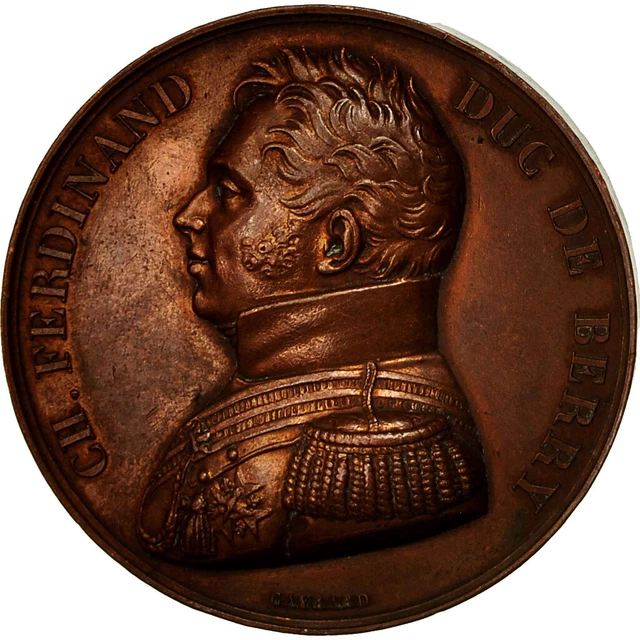 FRANCE, MÉDAILLE, CHARLES Ferdinand Duc de Berry, 1829, Gayrard, TTB+ ...