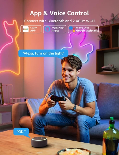 LEPRO N1 AI Smart Neon Rope Light 10M RGB+IC, Works with Alexa & Google ...