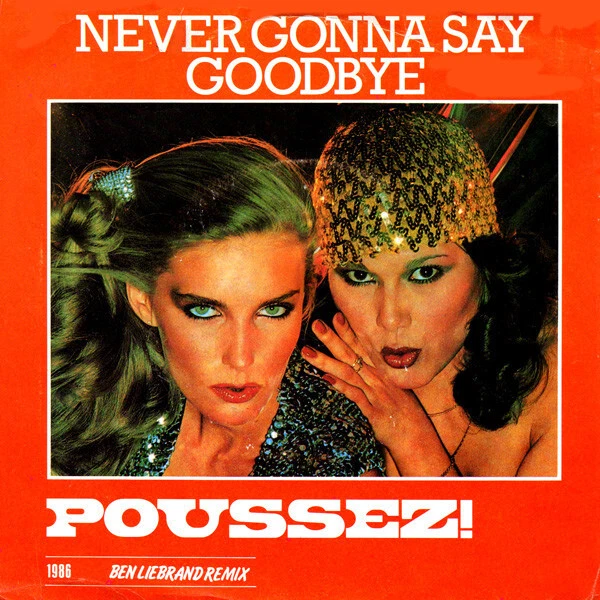 POUSSEZ! - NEVER Gonna Say Goodbye 1986 Ben Liebrand Remix - Used Viny ...