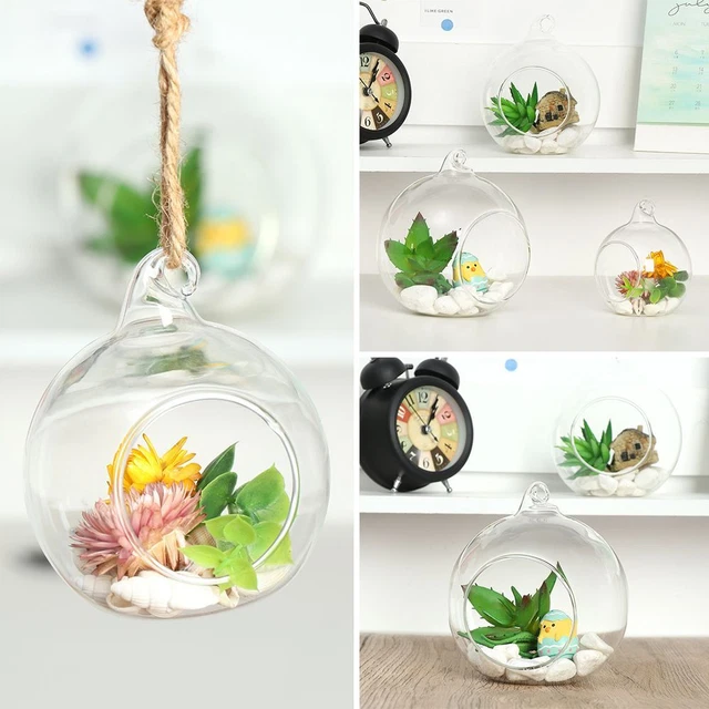 DECORATION BOTTLE CLEAR Glass Ball Fillable Bauble Microlandscape ...