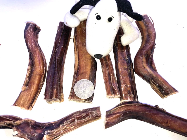 LARGE BULLY STICKS 10 Dog Treats Chews. Australian Healthy Natural Bulk ...