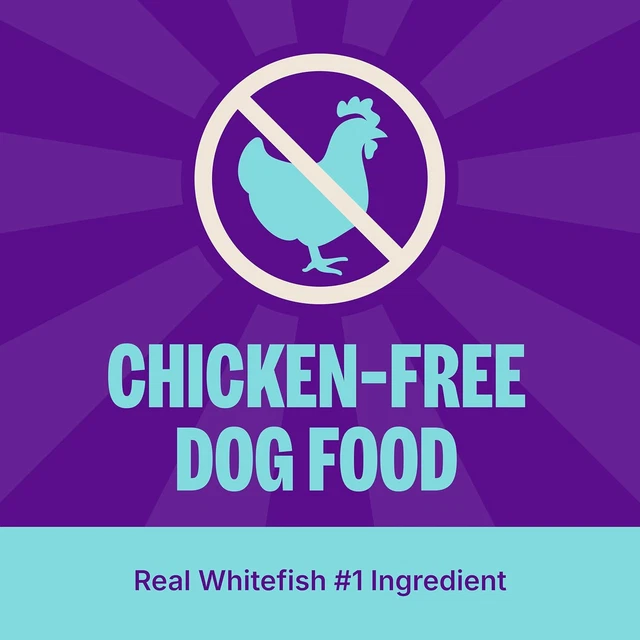 WELLNESS CORE DRY Dog Food, Grain-Free, High Protein, Natural, Ocean ...