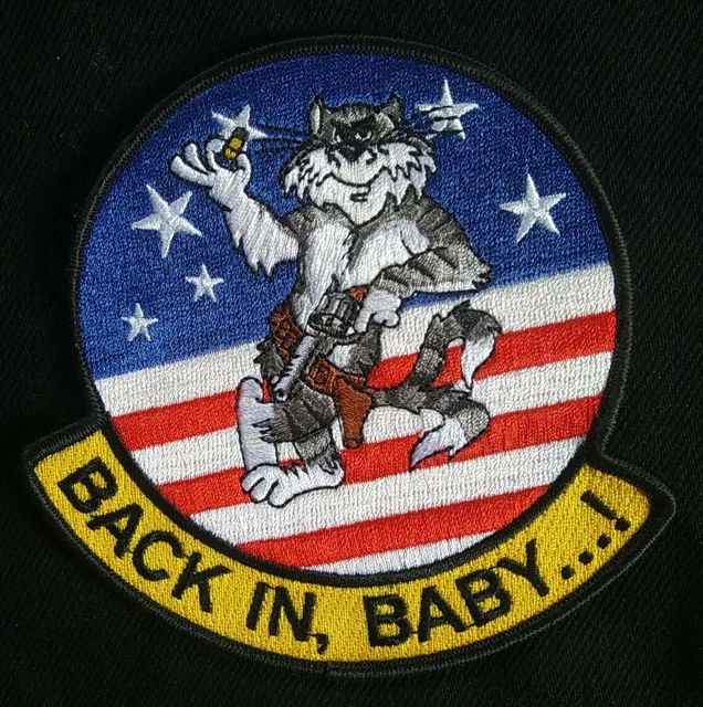 GRUMMAN F-14 TOMCAT BACK IN BABY...! US Navy Fighter Squadron VF ...