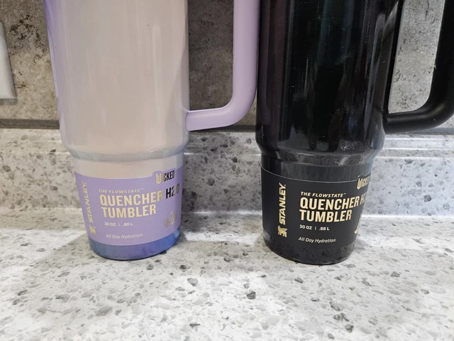 STANLEY X WICKED Elphaba For Good & Glinda For Good 30oz Tumbler SET ...