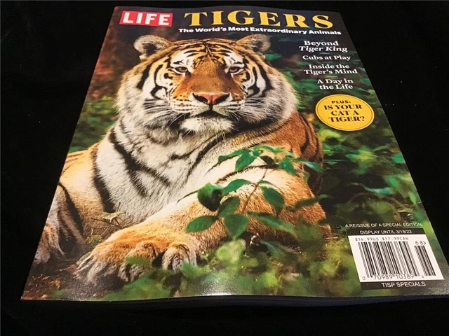 LIFE MAGAZINE TIGERS: The World's Most Extraordinary Animals £9.42 ...