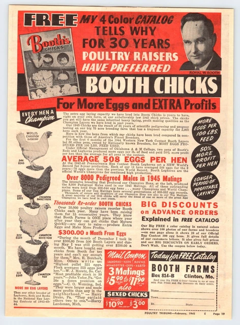 1944 BOOTH FARMS CHICKEN POULTRY FARMING AD Vtg 7.5X10.5 Magazine 1940 ...
