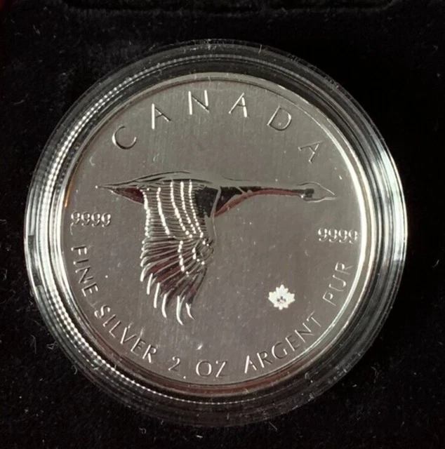 2020 GOOSE PURE 2oz .9999 Silver Coin Canada $426.12 - PicClick CA