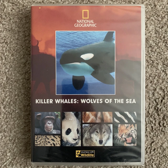 NATIONAL GEOGRAPHIC - Killer Whales: Wolves Of The Sea DVD 2004 Brand ...