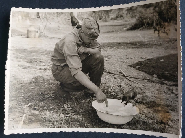 ORIG.FOTO WK2,DER SOLDAT und sein Vogel EUR 9,99 - PicClick DE