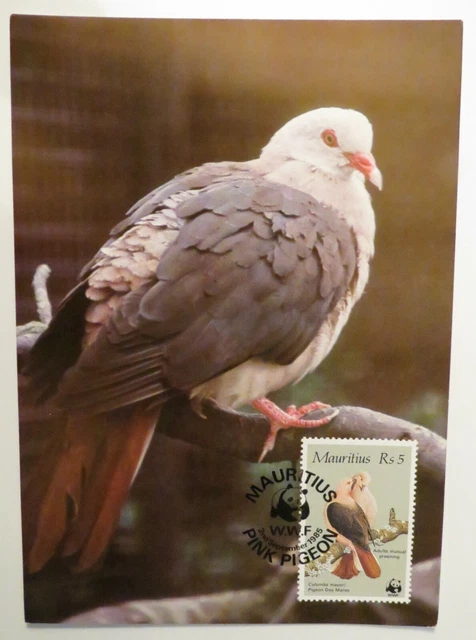 ILE MAURICE - MAURITIUS - Très belle carte d' OISEAU oblitéré EUR 1,50 ...