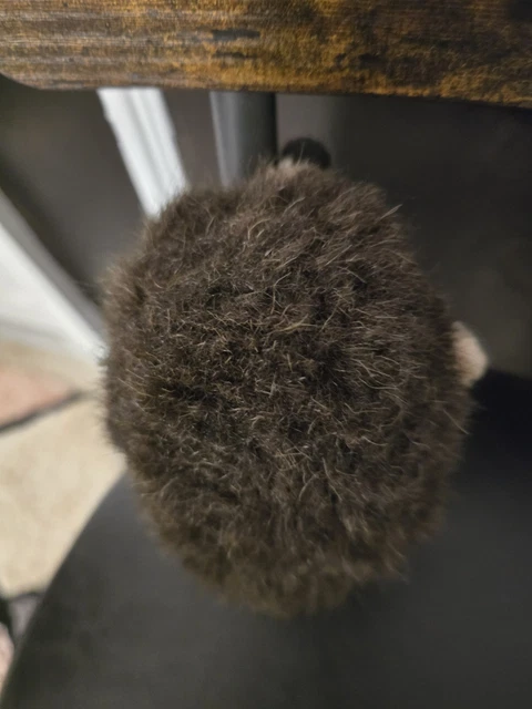 RUSS BERRIE LUV Pets Harold hedgehog plush soft Retired toy 13 cm £6.52 - PicClick UK