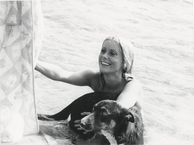 PHOTO ORIGINALE CATHERINE Deneuve chien Liza Marco Ferreri EUR 30,00 - PicClick FR