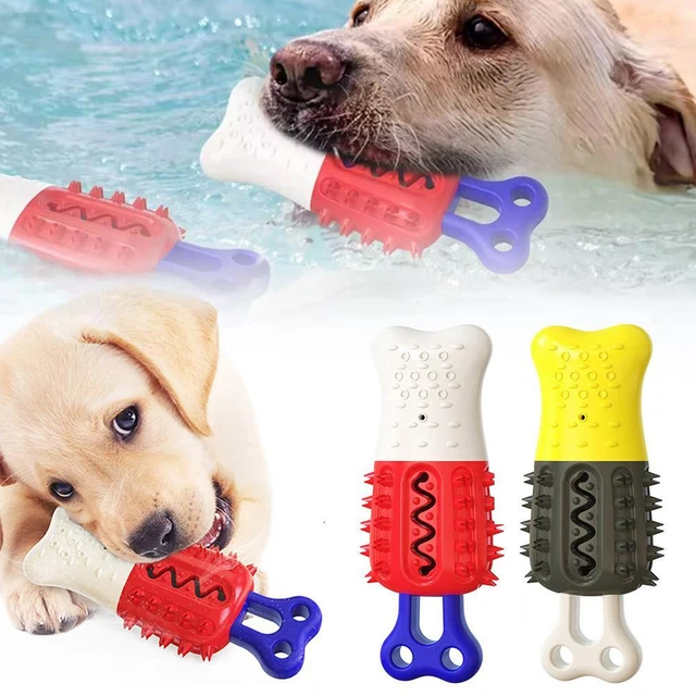 Bite And Brush Keeping Your Dog Healthy And Well-behaved Makes For A ...