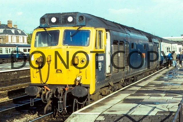 UK DIESEL TRAIN Railway Photograph Of Class 50 50009 Loco. (Rm50-65) £1 ...