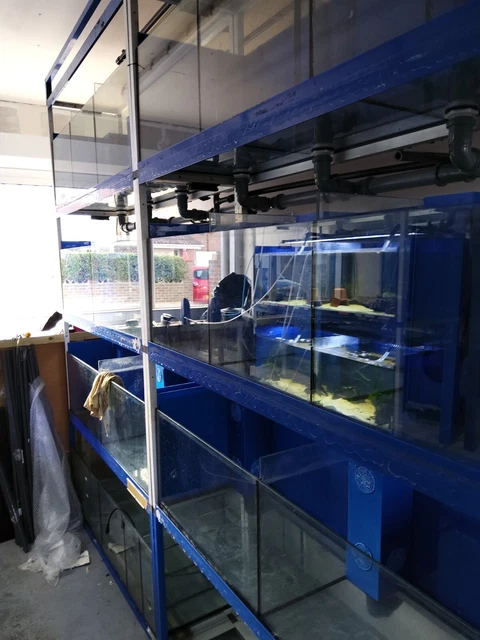 JAMES ALLEN FISH tank racking 6 tanks 1.200 x 450 x 350mm EUR 56,87 ...