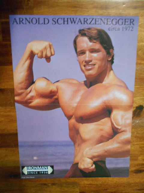 MR OLYMPIA ARNOLD SCHWARZENEGGER & LAURIE DONNELLY muscle bodybuilding ...