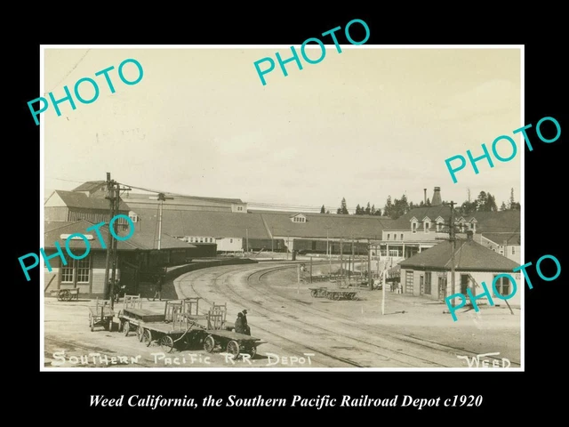 OLD HISTORIC PHOTO Of Weed California Southern Pacific Railroad Depot ...