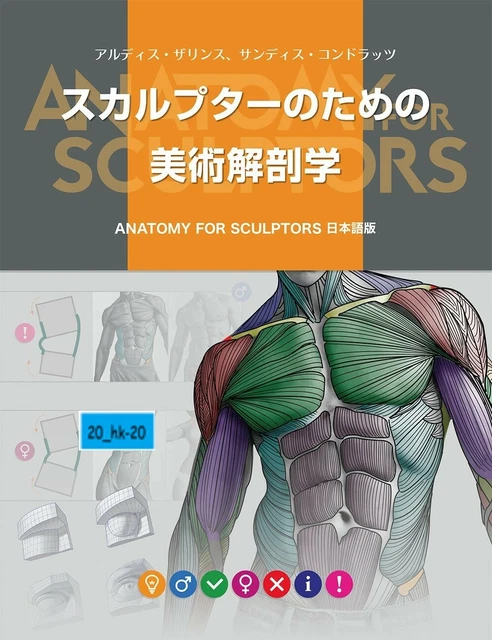 HOW TO DRAW Anatomy For Sculptors Art Illustration Guide Book Japanese how-to-draw-anatomy-for-sculptors-art-illustration-guide-book-japanese